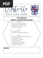 Life Science Grade 11 Term 3 Notes | PDF | Kidney | Urine