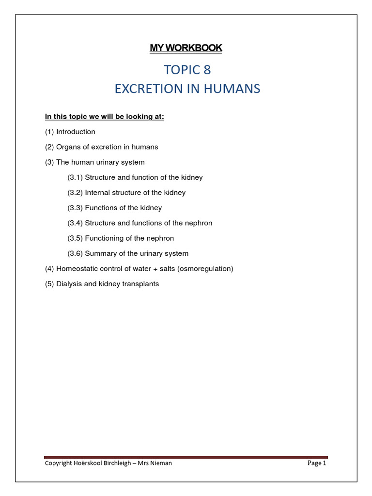 GR 11 Life Science - Topic 8 My Workbook | PDF | Kidney | Urinary System