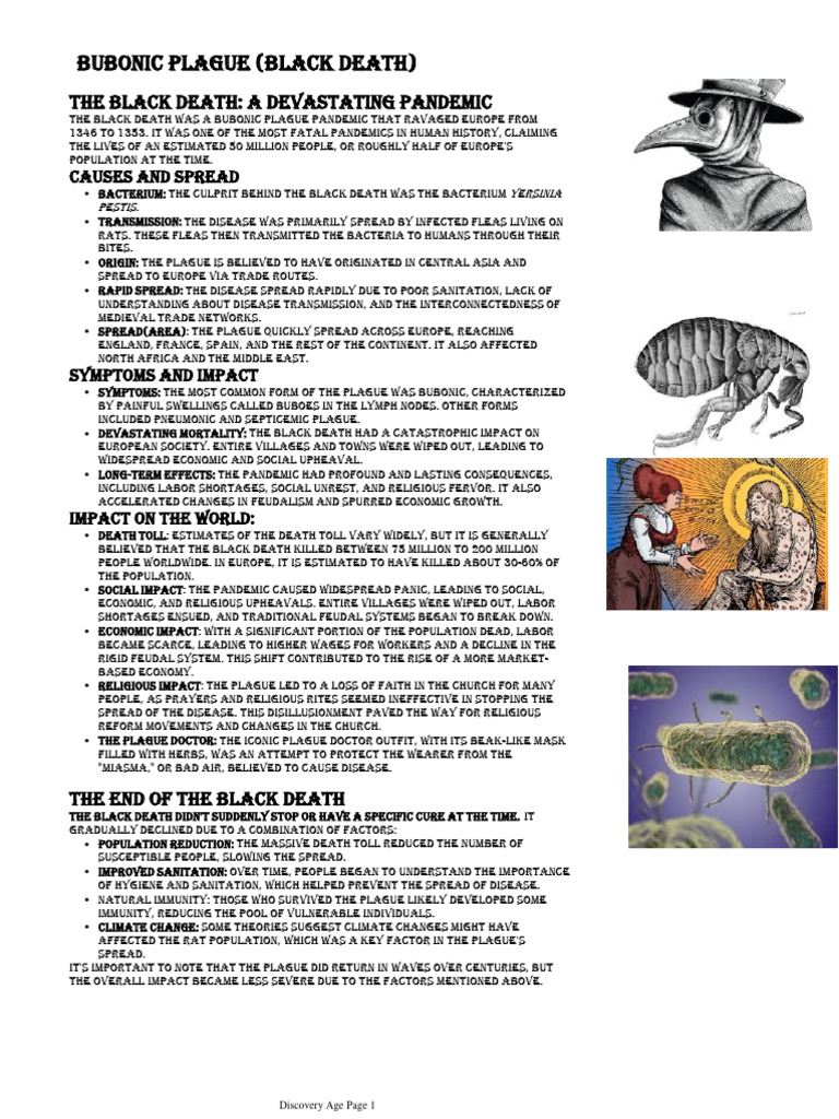 Black Death: Causes and Impact | PDF | Black Death | Epidemiology