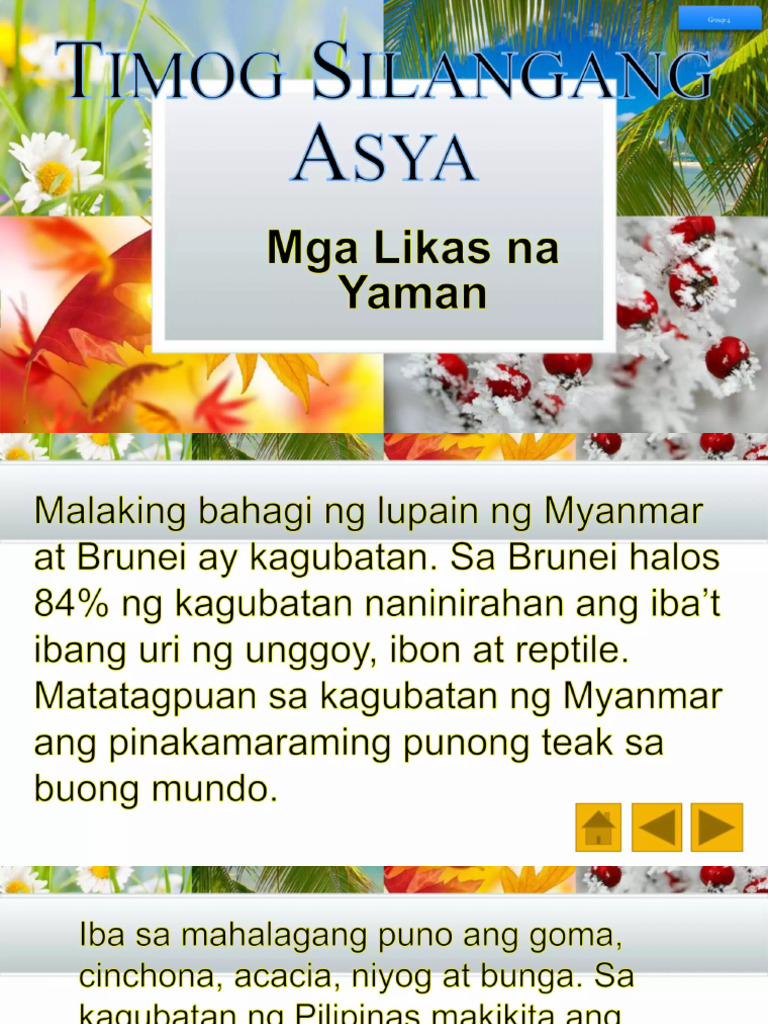 Aralin A4 Likas Na Yaman NG Timog Silangang Asya | PDF