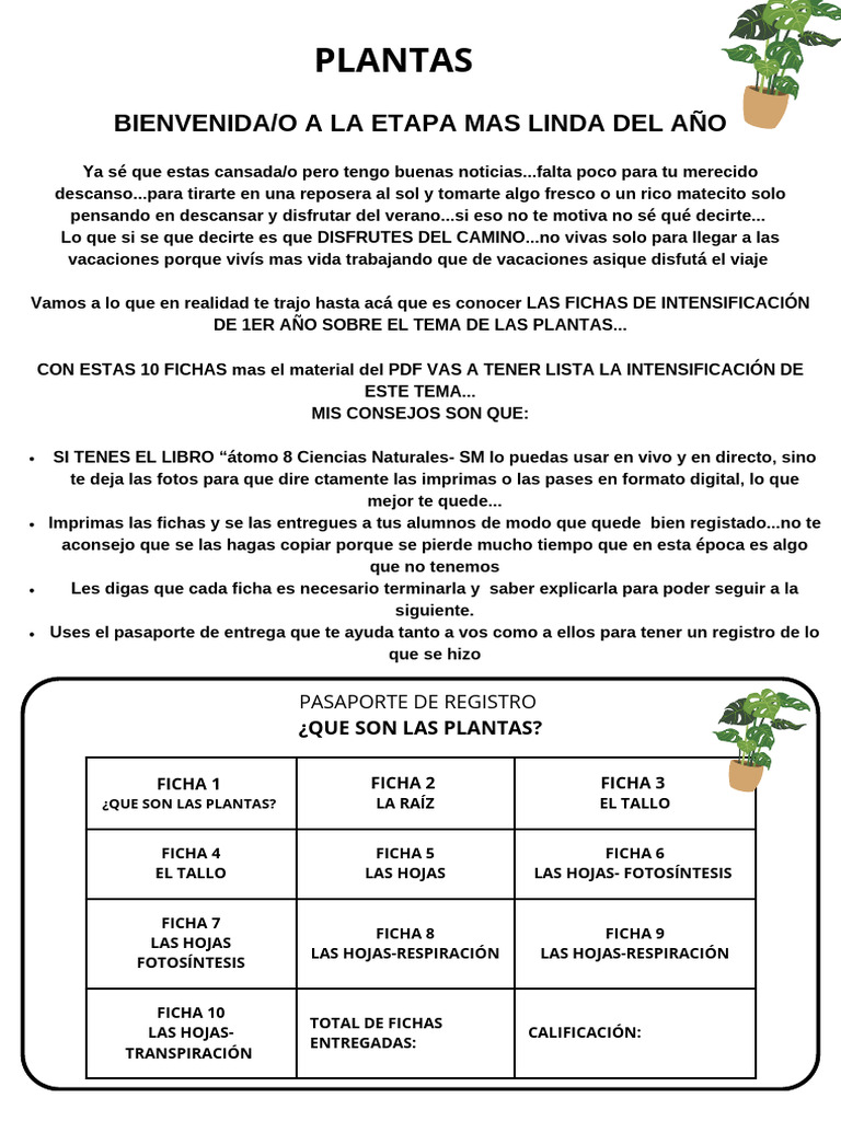 Fichas de Plantas y Fotosíntesis | PDF | Respiración | Plantas