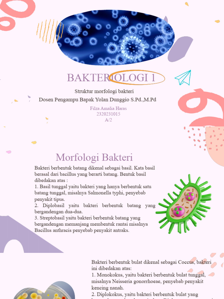 BAKTERIOLOGI 1-Struktur Dan Morfologi Bakteri - 20240325 - 225915 - 0000 | PDF