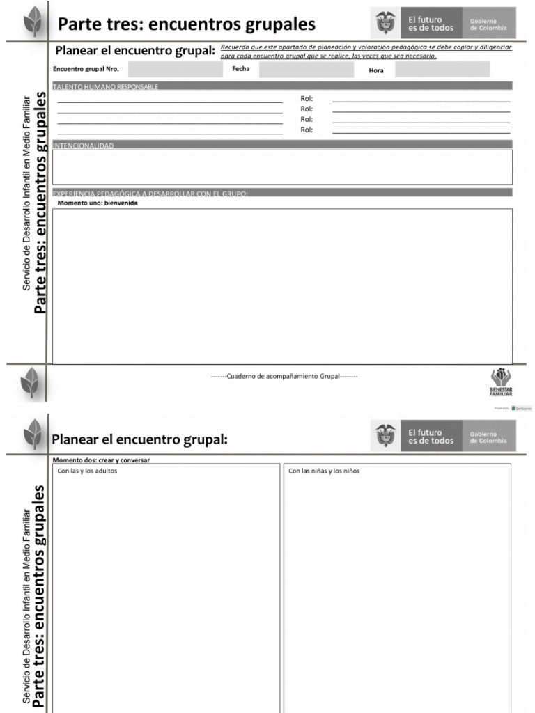 Formato de Acompañamiento Grupal | PDF