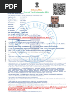 e-FRRO Online Application Form | PDF | Travel Visa | Passport