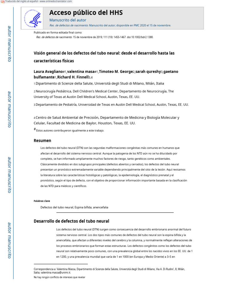 SNC - 2 (1) .En - Es | PDF | Anatomía