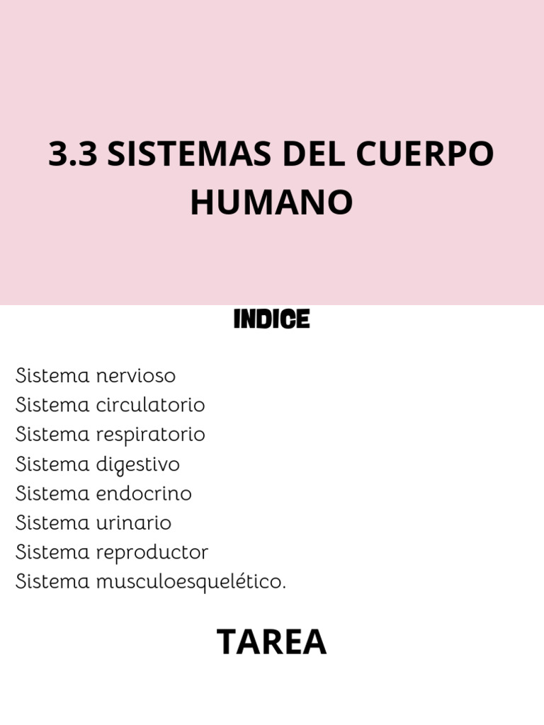 Sistemas del Cuerpo Humano: Resumen y Estructura | PDF | Sistema ...