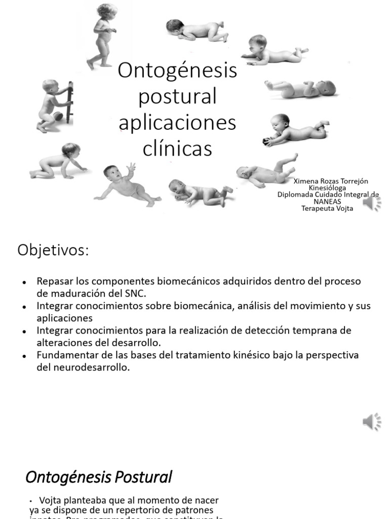 Ontogénesis Postural Primera Parte | PDF | Pelvis | Sistema nervioso ...