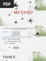 Metanogénesis: Proceso y Aplicaciones | PDF | Archaea | Biología