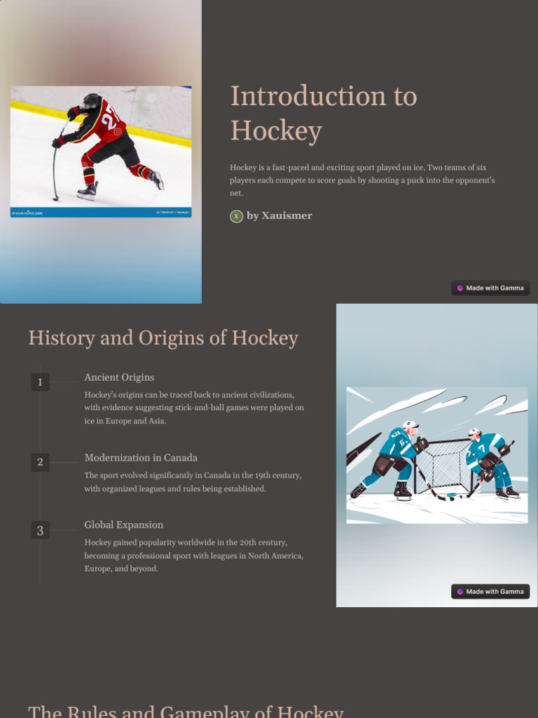 Introduction to Ice Hockey | PDF | Ice Hockey | Team Sports