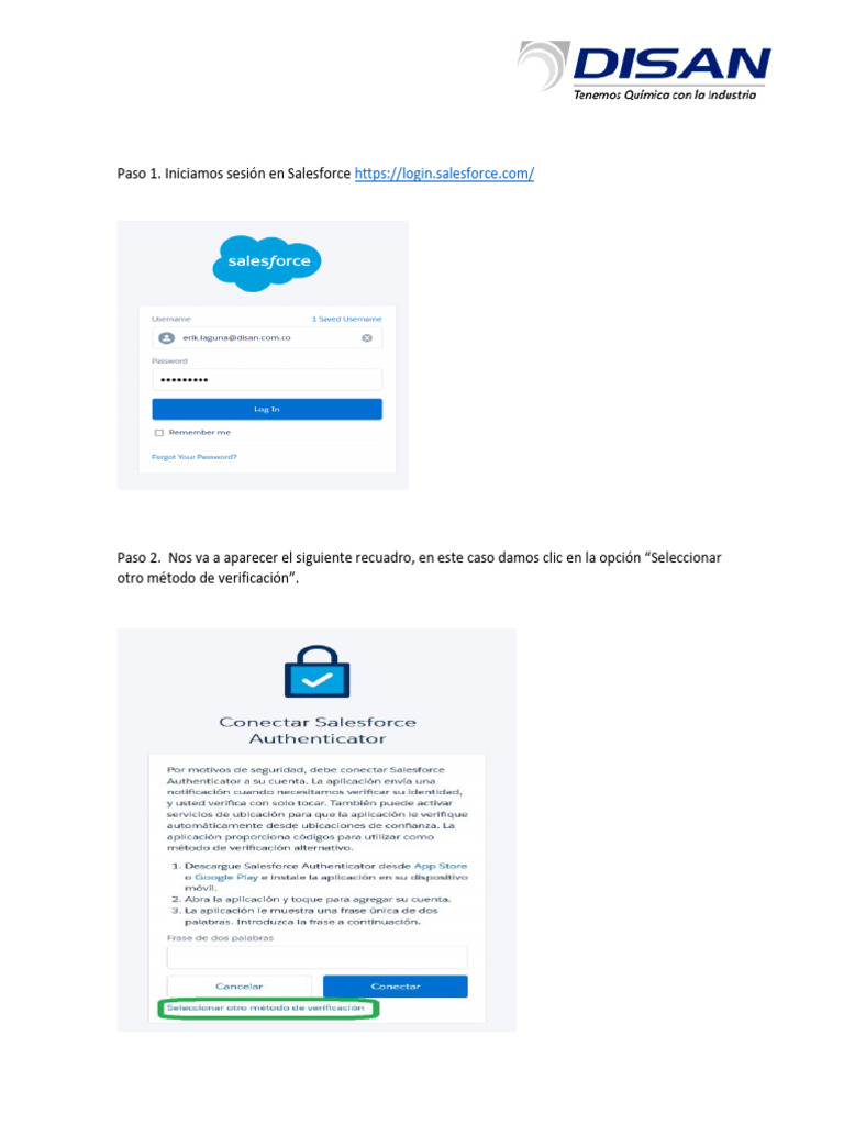 MFA Salesforce | PDF