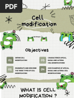 Cell Modification: Mr. Kevin Francis E. Magaoay | PDF | Epithelium ...