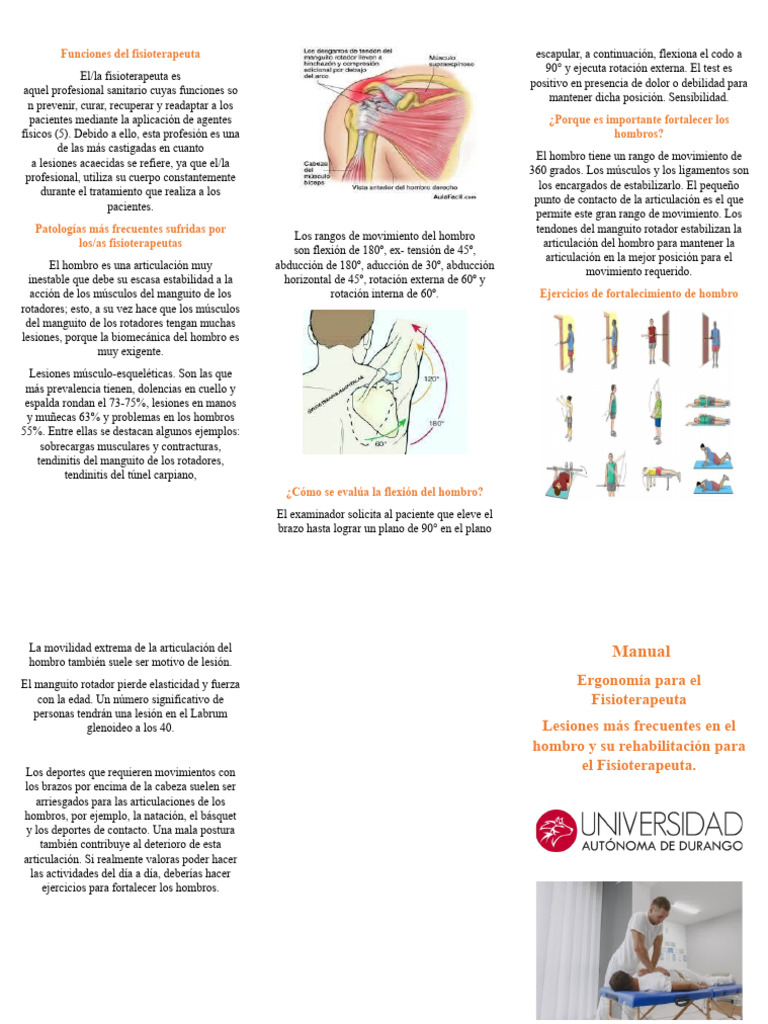 Funciones Del Fisioterapeuta Triptico | PDF | Hombro | Sistema musculoesquelético