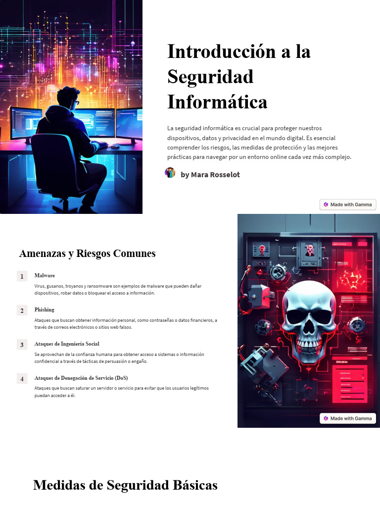 Introduccion A La Seguridad Informatica | PDF | Seguridad | La seguridad informática