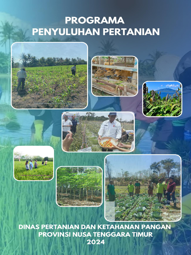 Programa Penyuluhan Pertanian NTT 2024 | PDF