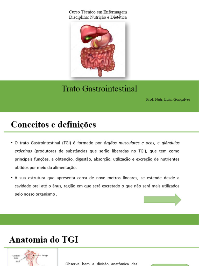 Aula 2 - Trato Gastrointestinal | PDF | Trato gastrointestinal | Estômago
