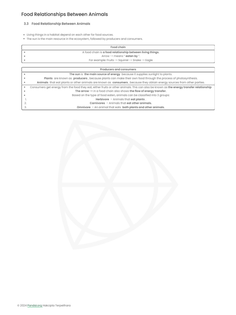 Understanding Animal Food Relationships | PDF | Foods | Food Web