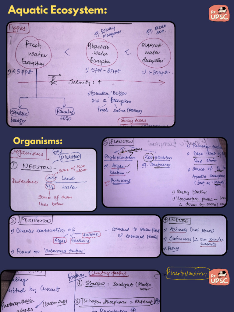 ?aquatic Ecosystem - CHEAT - Sheet | PDF | Ecoregions | Oceanography