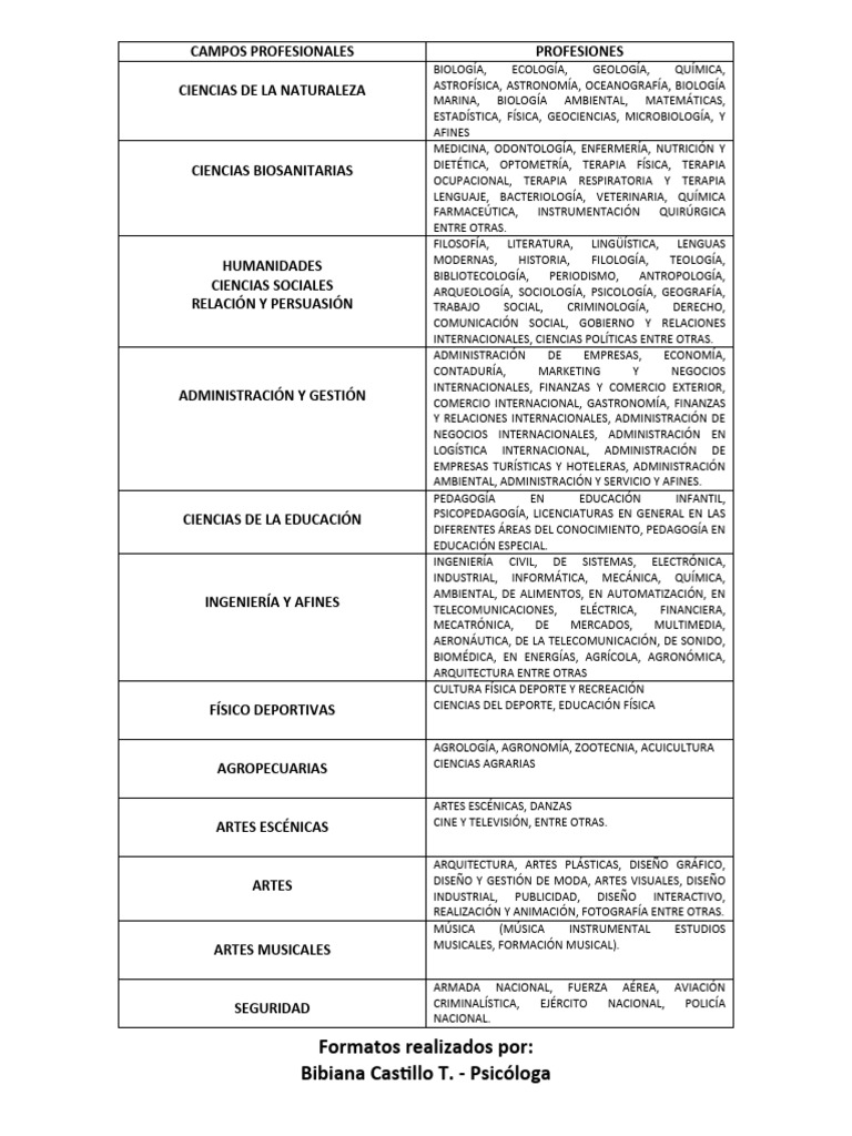 Compilado Formatos Informe | PDF | Diseño | Ley procesal