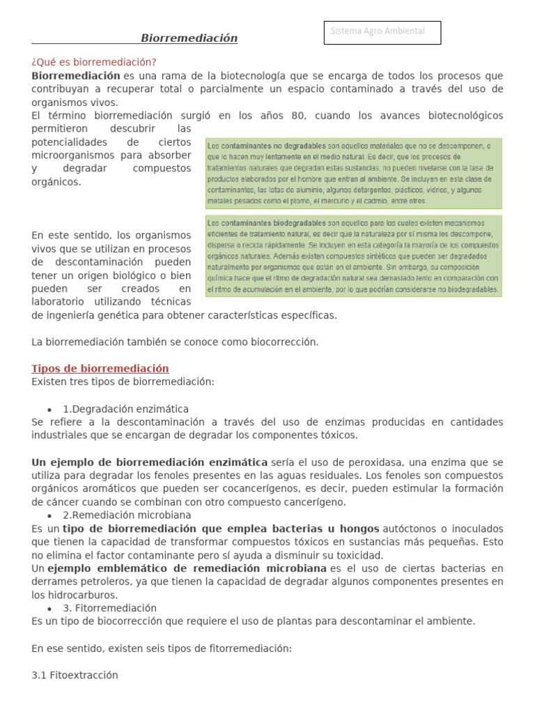Biorremediación | PDF | Biología | Naturaleza
