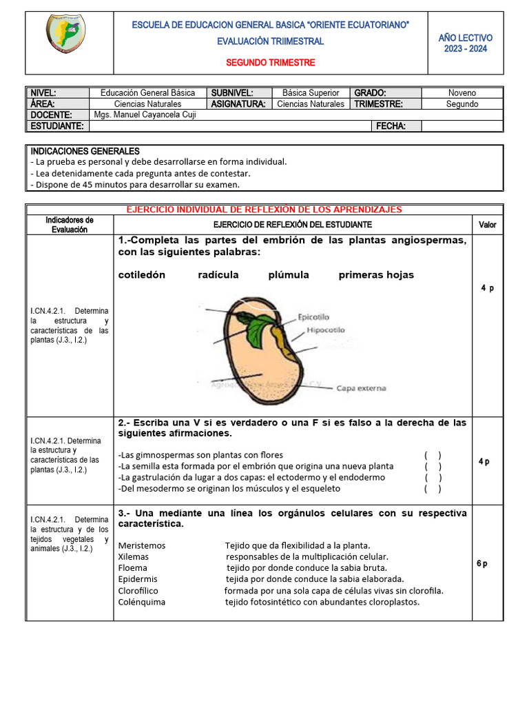 EXAMENES DEL 2do TRIMESTRE CCNN 9no. | PDF | Embrión | Biología