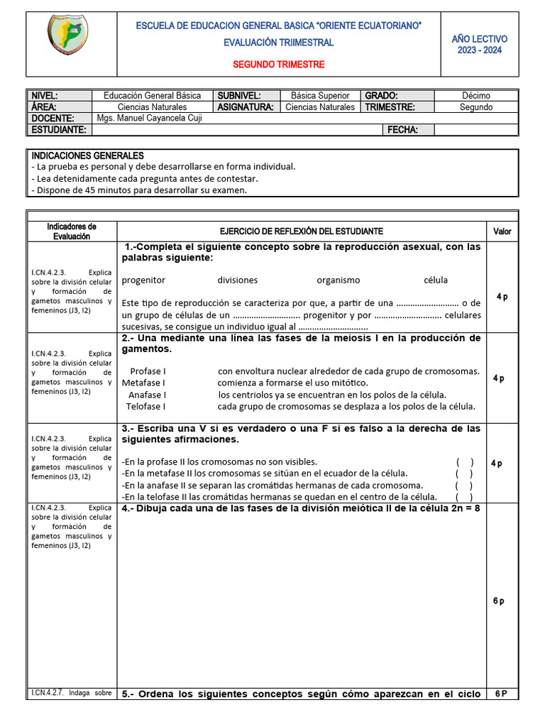 Evaluación Segundo Trimestre CCNN 10mo | PDF | Mitosis | Genética