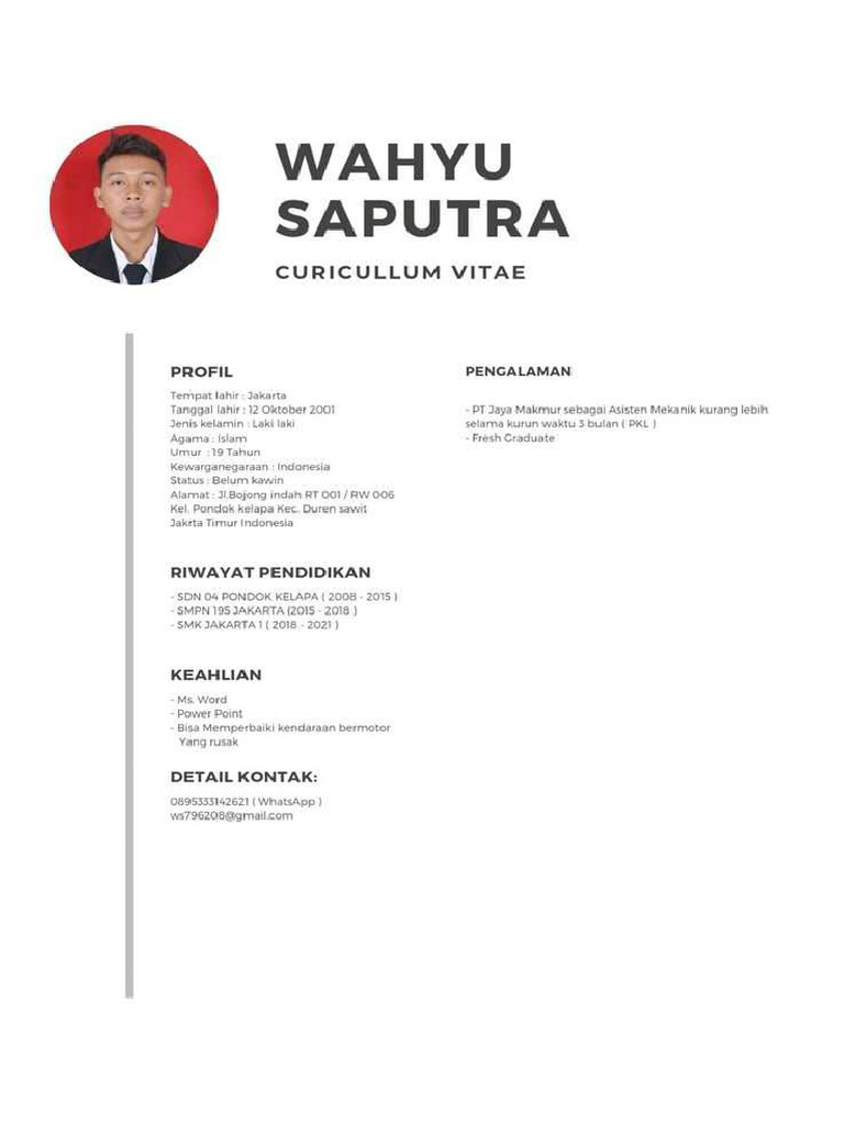 Contoh CV PDF | PDF