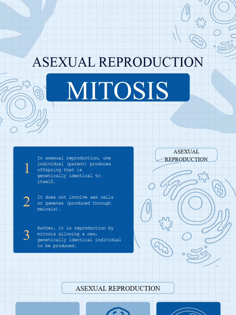 Asexual Reproduction Methods Explained | PDF | Reproduction | Sexual ...