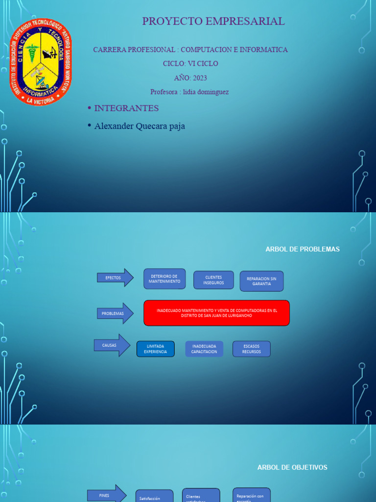 Proyecto Empresarial Lidia | PDF