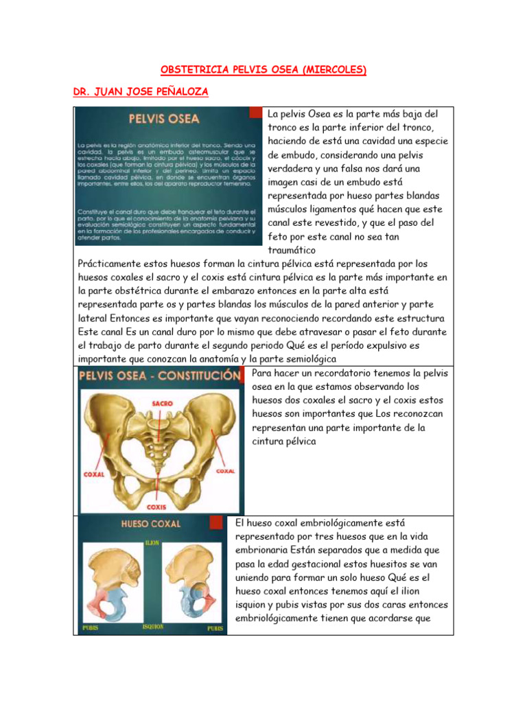 1 Pelvis Osea Pdf Pelvis Sistema Esquelético