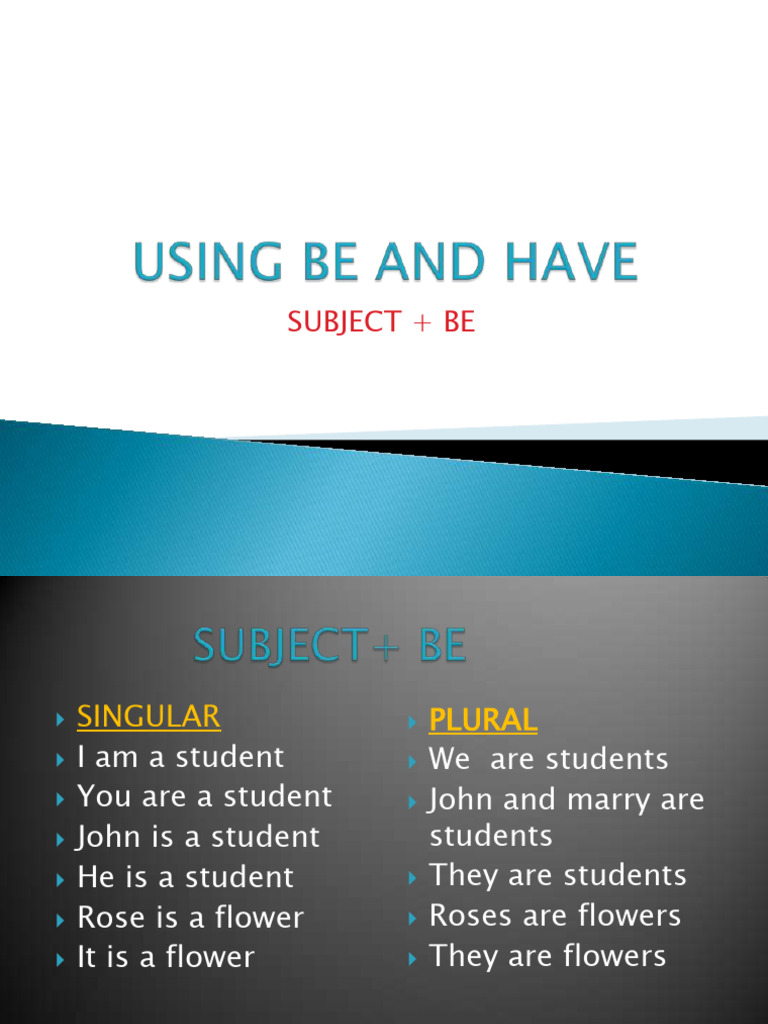 Understanding Singular and Plural Nouns | PDF | Grammatical Number | Plural