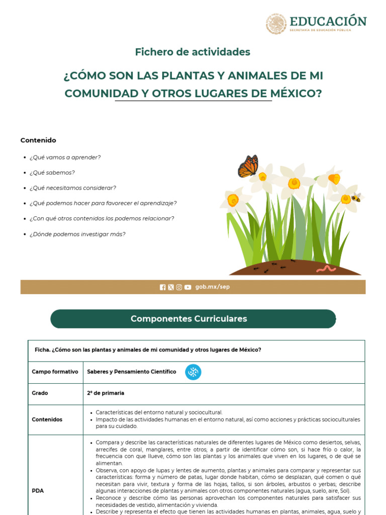 Ficha - 2° - ¿Como Son Las Plantas y Animales de Mi Comunidad y Otros ...
