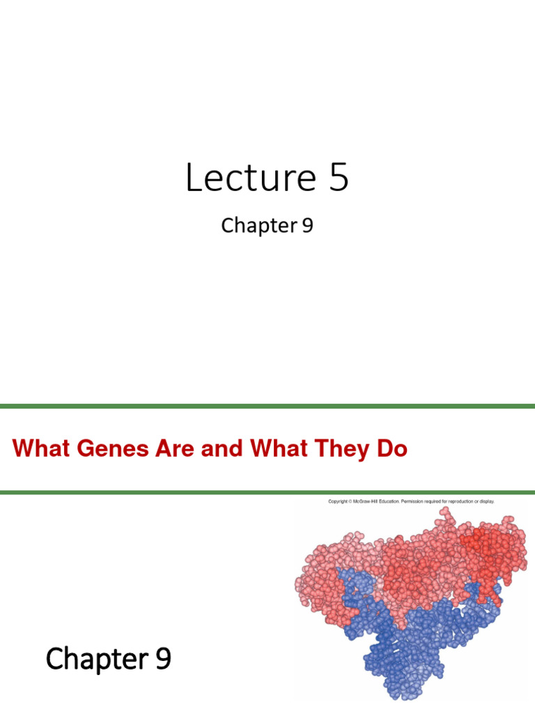 Lecture 5 Chapter 9 Part A | PDF | Genetic Code | Messenger Rna