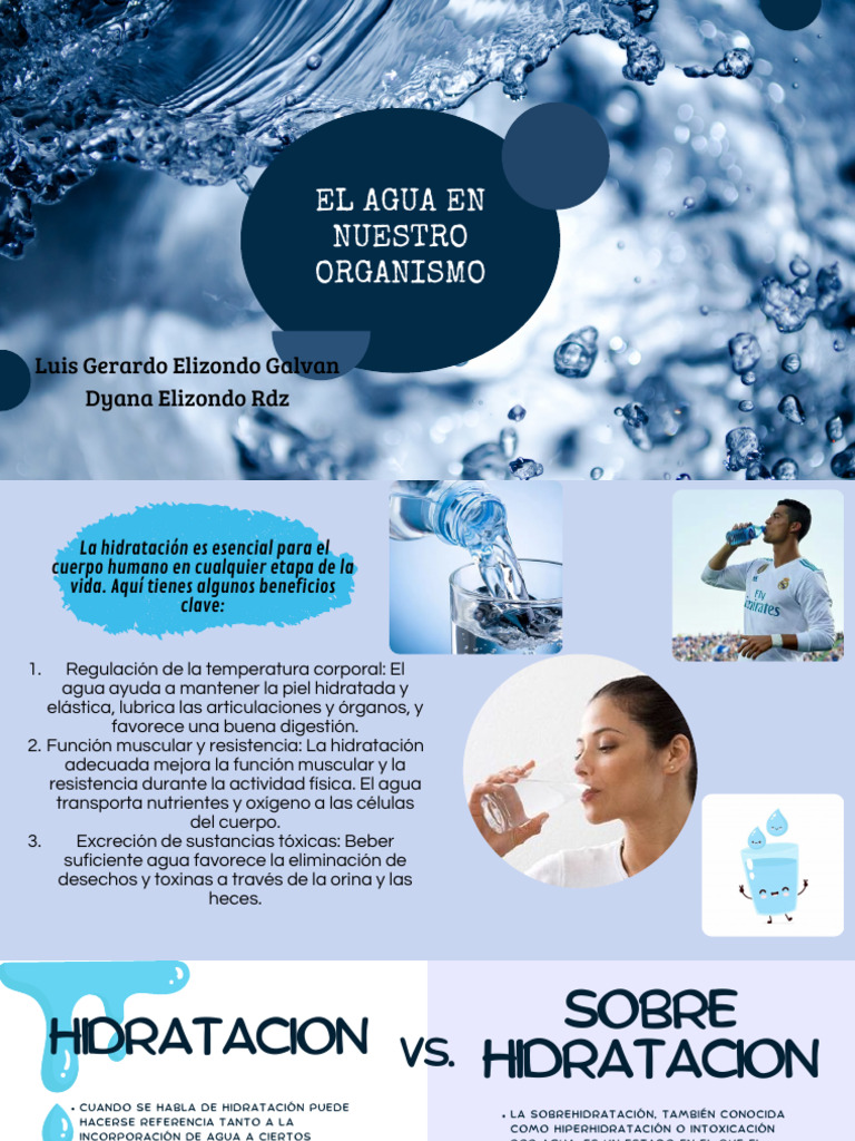 El Agua en Nuestro Organismo | PDF | Agua | Nutrientes
