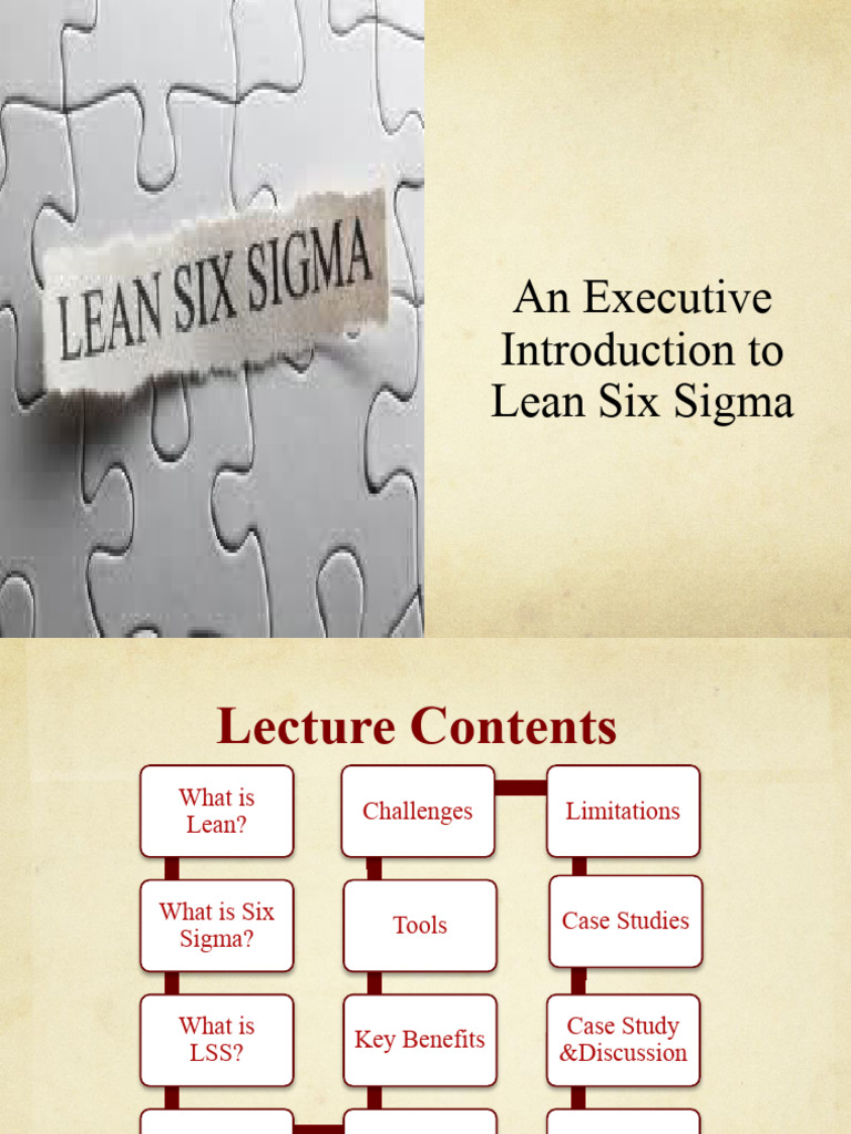 Lean Six Sigma: Overview and Benefits | PDF | Six Sigma | Lean ...