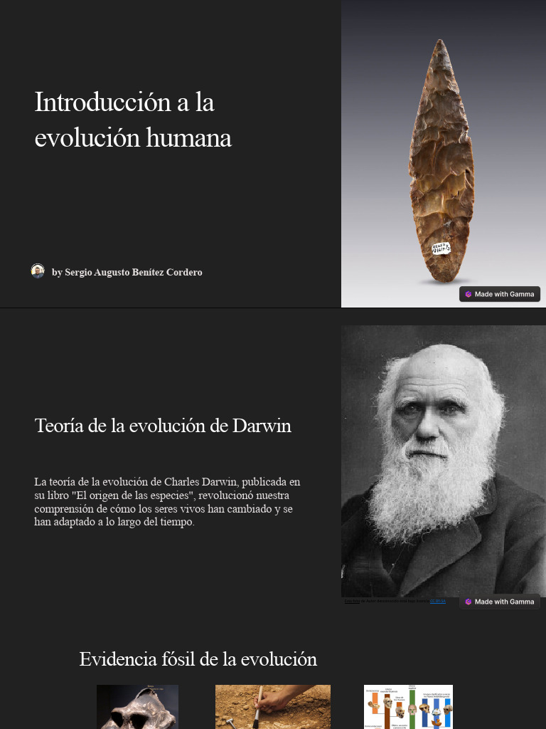 Introduccion A La Evolucion Humana | PDF | Homo | Evolución humana