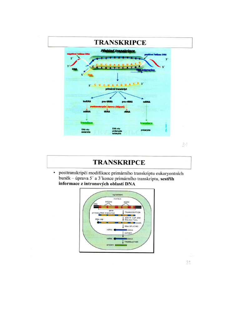 BIO2 | PDF