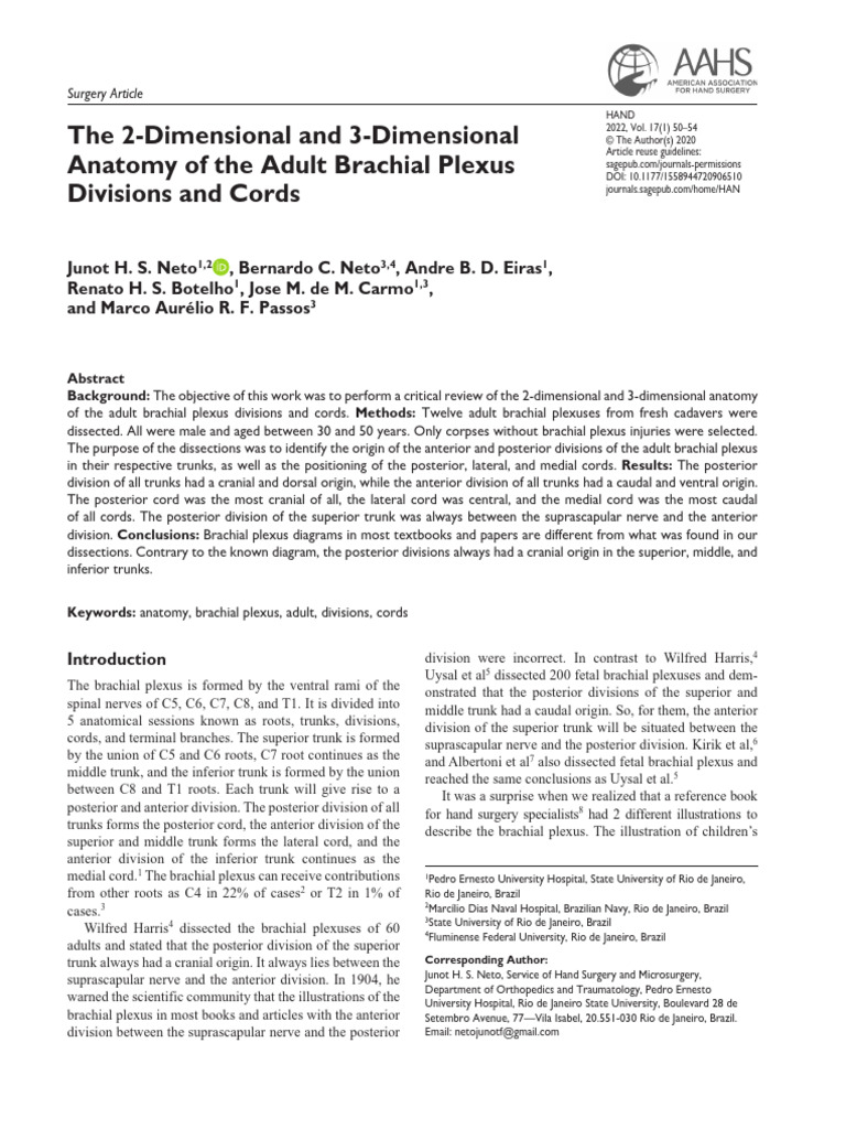 Anatomy of Adult Brachial Plexus Dissections | PDF | Anatomical Terms ...