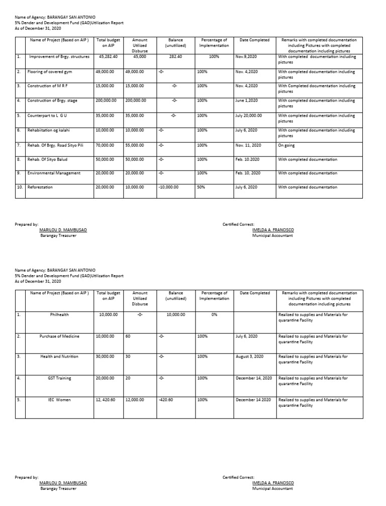 2020 Barangay Utilization Report 20% 5% | PDF | Social Programs ...