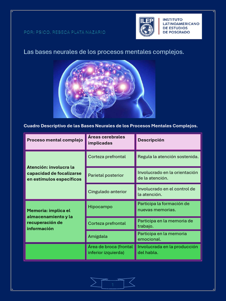 Cuadro Descriptivo. Bases Neurales de Los Procesos Mentales Complejos ...