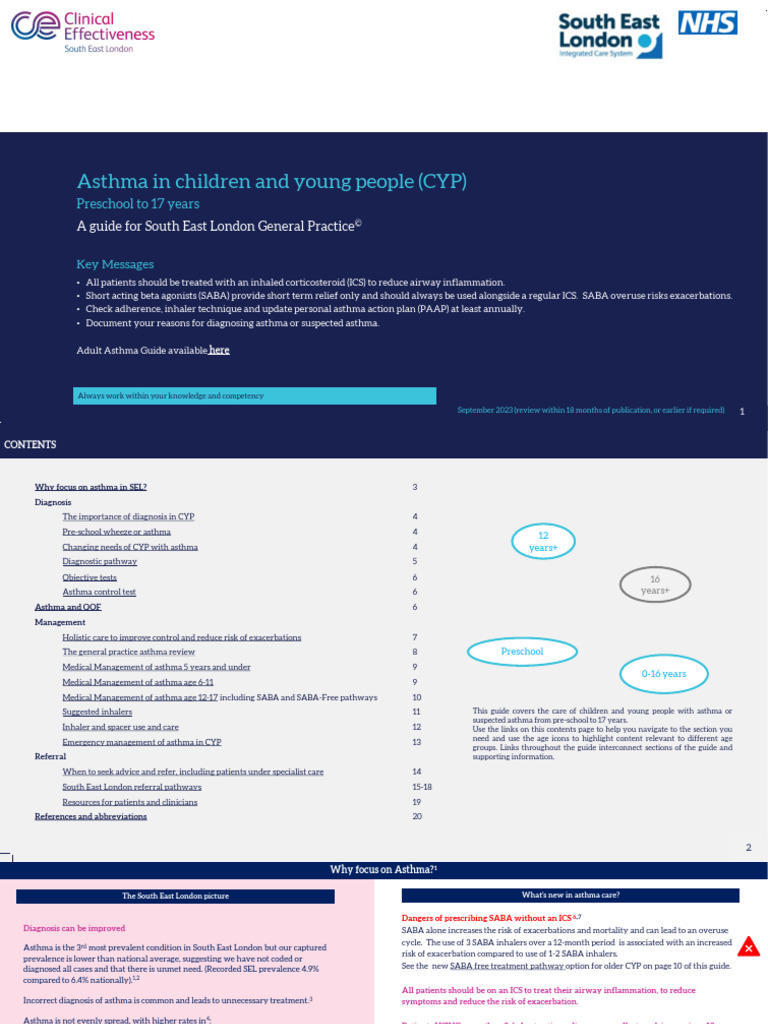 Asthma Guide for SEL Clinicians | PDF | Asthma | Medical Diagnosis