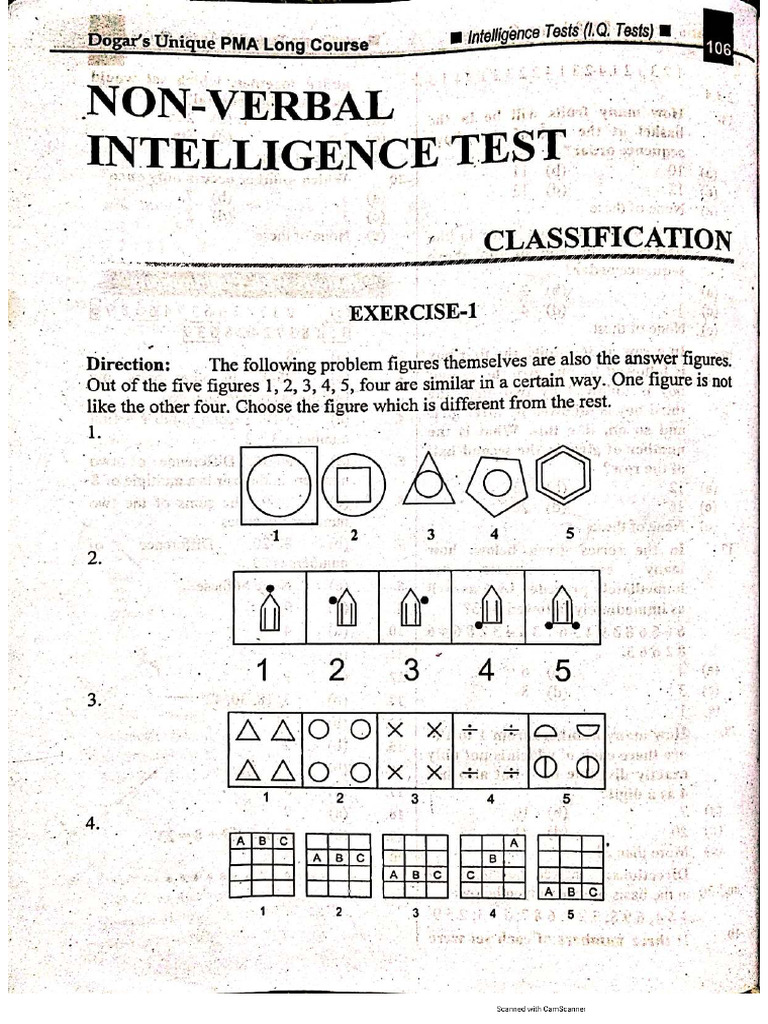 Dogars Non Verbal Intelligence Tests | PDF