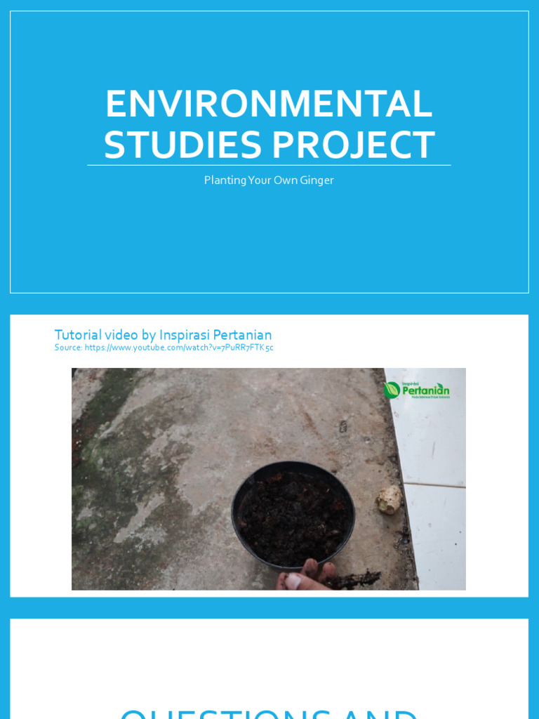Environmental Studies Project | PDF