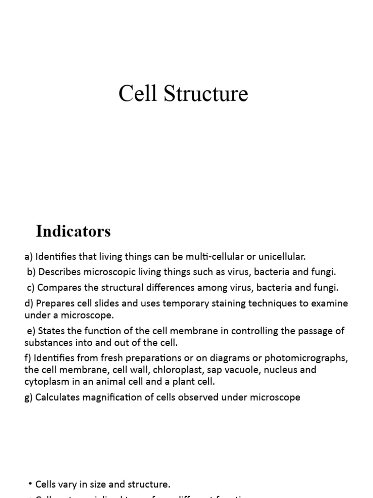 Cell Structure | PDF | Cell (Biology) | Bacteria