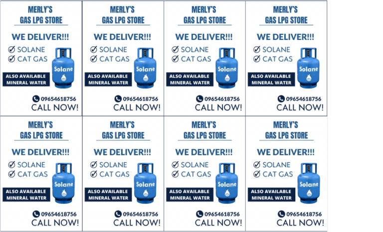 Merly's LPG Flyers | PDF