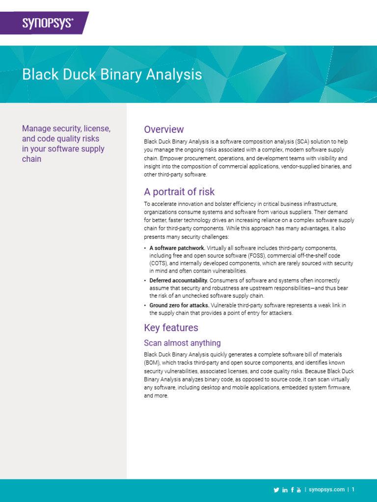 Blackduck Binaryanalysis Ds Ul | PDF | Computer Security | Security