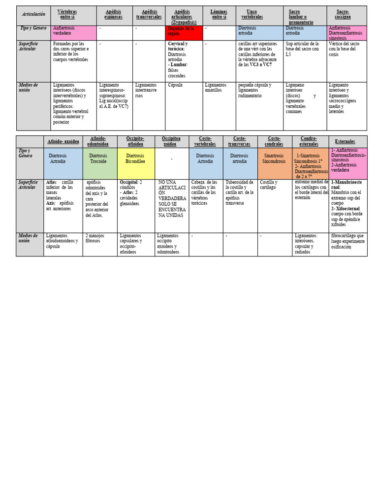 Articulaciones de Columna Vertebral y Torax Cuadro | PDF | Articulación | Vértebra