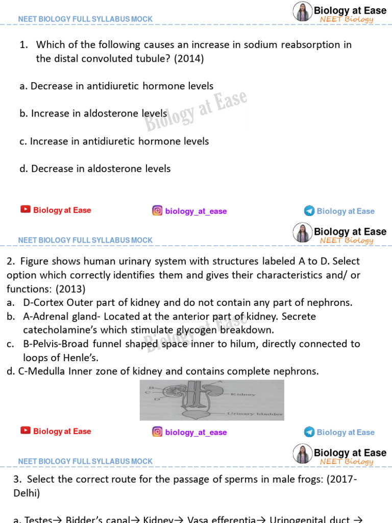 PYQs Based BIO Full MOCK-3 | PDF | Chemical Synapse | Kidney