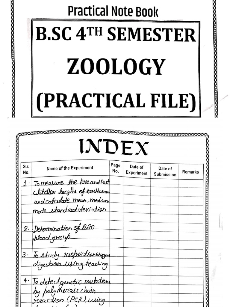 B.Sc. 4th Sem Zoology Practical File | PDF