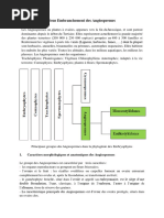 Le Carpelle : Organe des Angiospermes | PDF | Fruit | Embryon