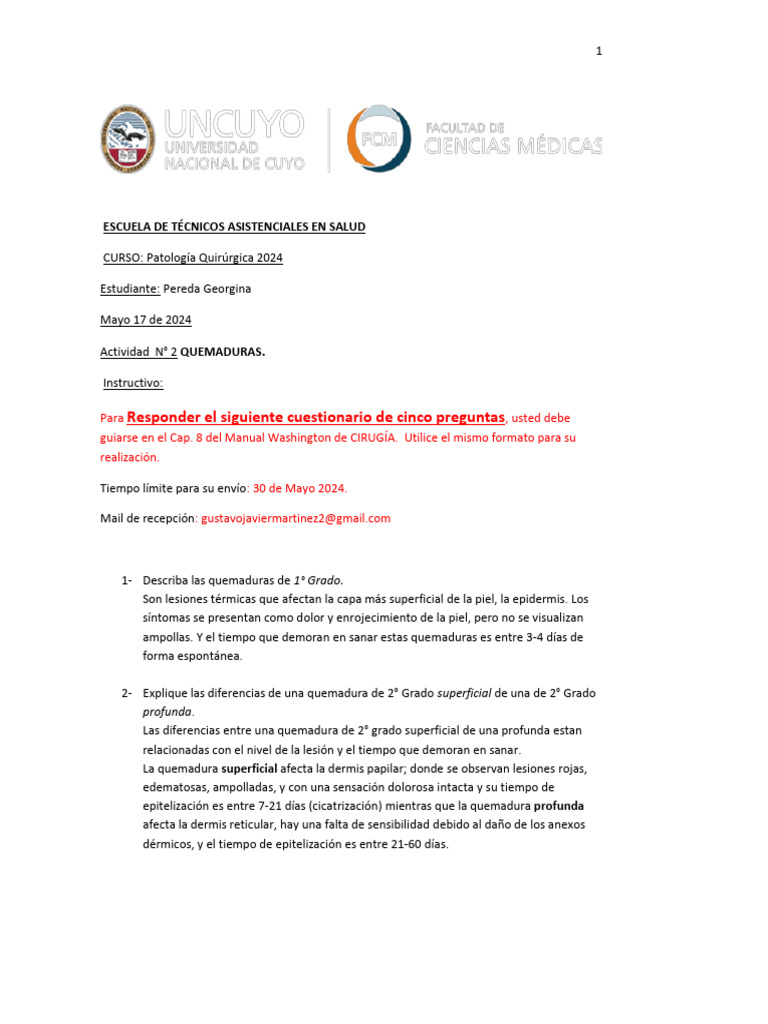Pereda Georgina - Activida Práctica 2 PQ - 2024 | PDF | Quemar | Piel